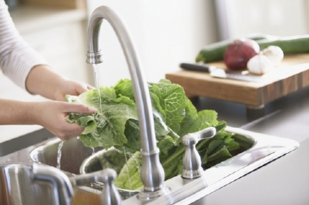 lavar-lechuga - Bio Restaurant